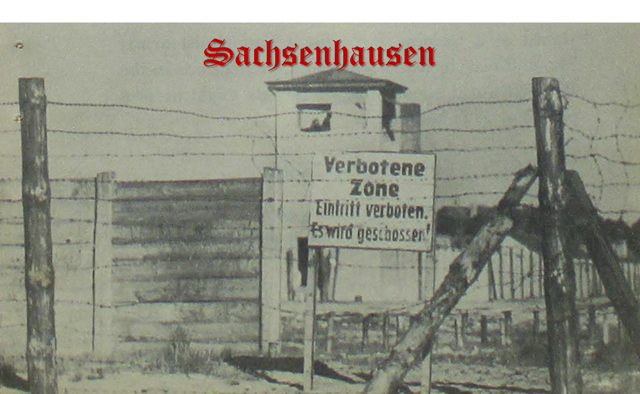 Part Four: Declassified Interrogation of Sachsenhausen Concentration ...